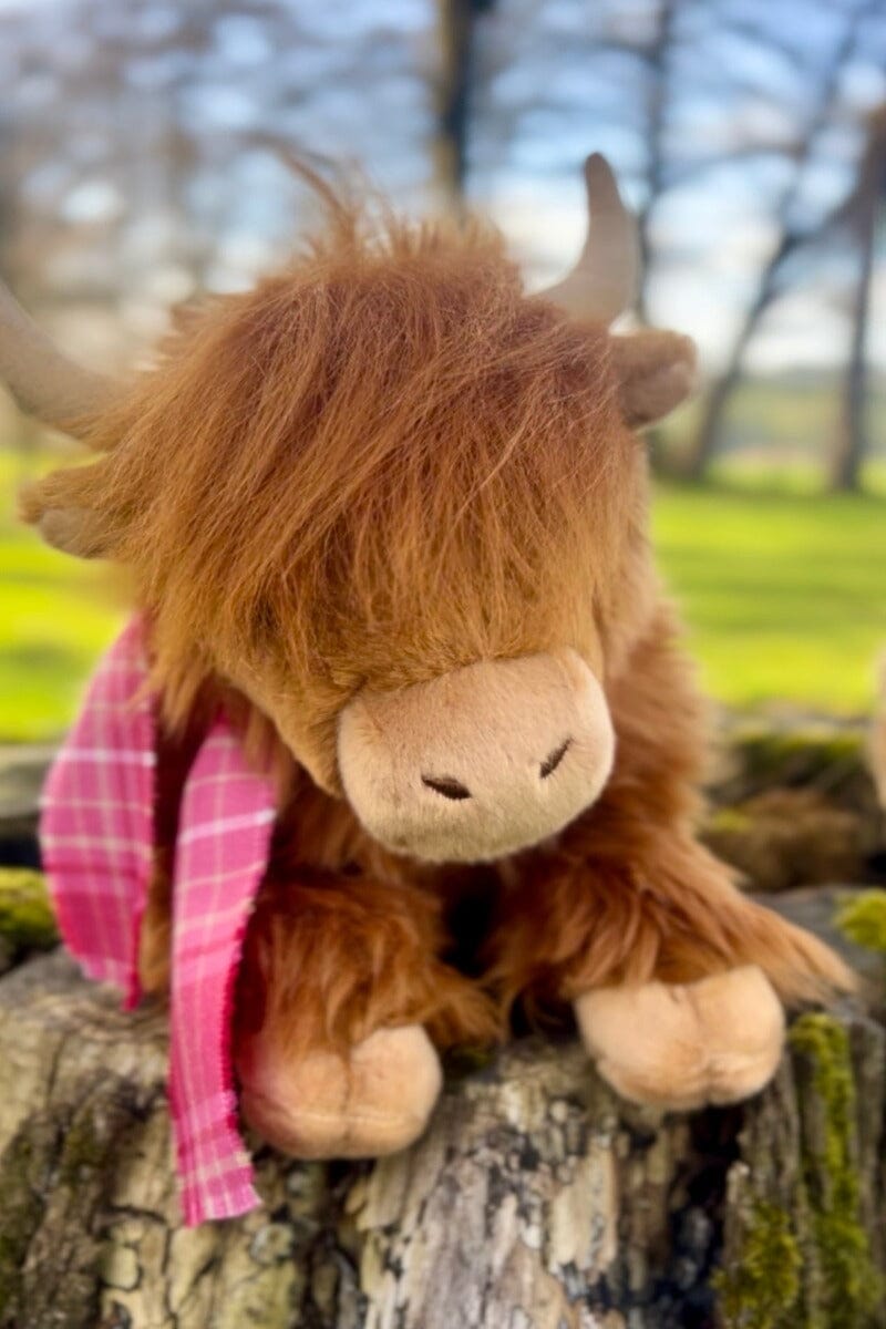 Curaidh Muckle Coo (The Official Pink Ribbon Tartan) – Great Scot